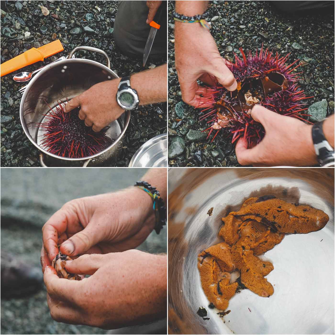 Whale Watching auf Vancouver Island: Kajaken mit Orcas