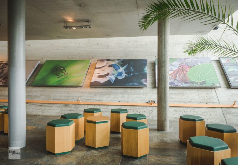 Wo der Pfeffer wächst: Die Tropenwelt der Biosphäre Potsdam ...