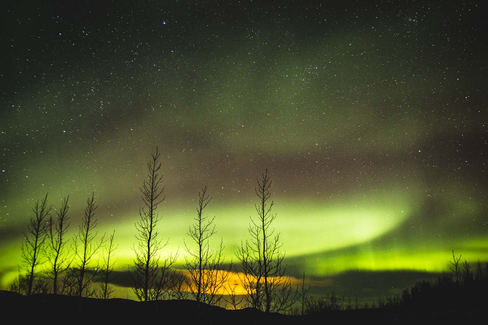 Wie Polarlichter aussehen und wie Du sie fotografieren kannst ...