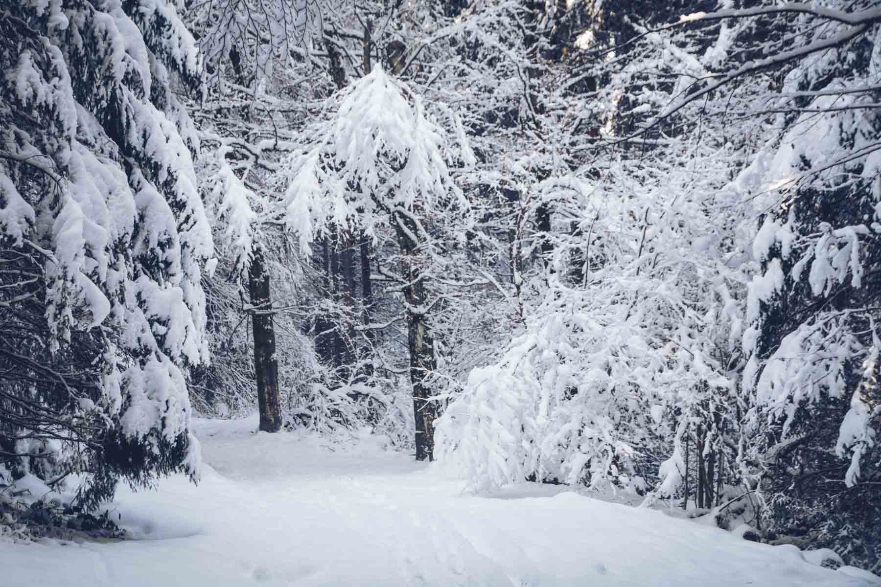 Wellness im Winterparadies: Das Haubers Alpenresort | blickgewinkelt
