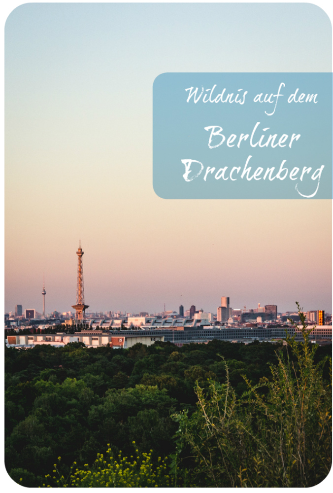 Drachenberg Berlin: Aussichtspunkt & Großstadtwildnis | blickgewinkelt