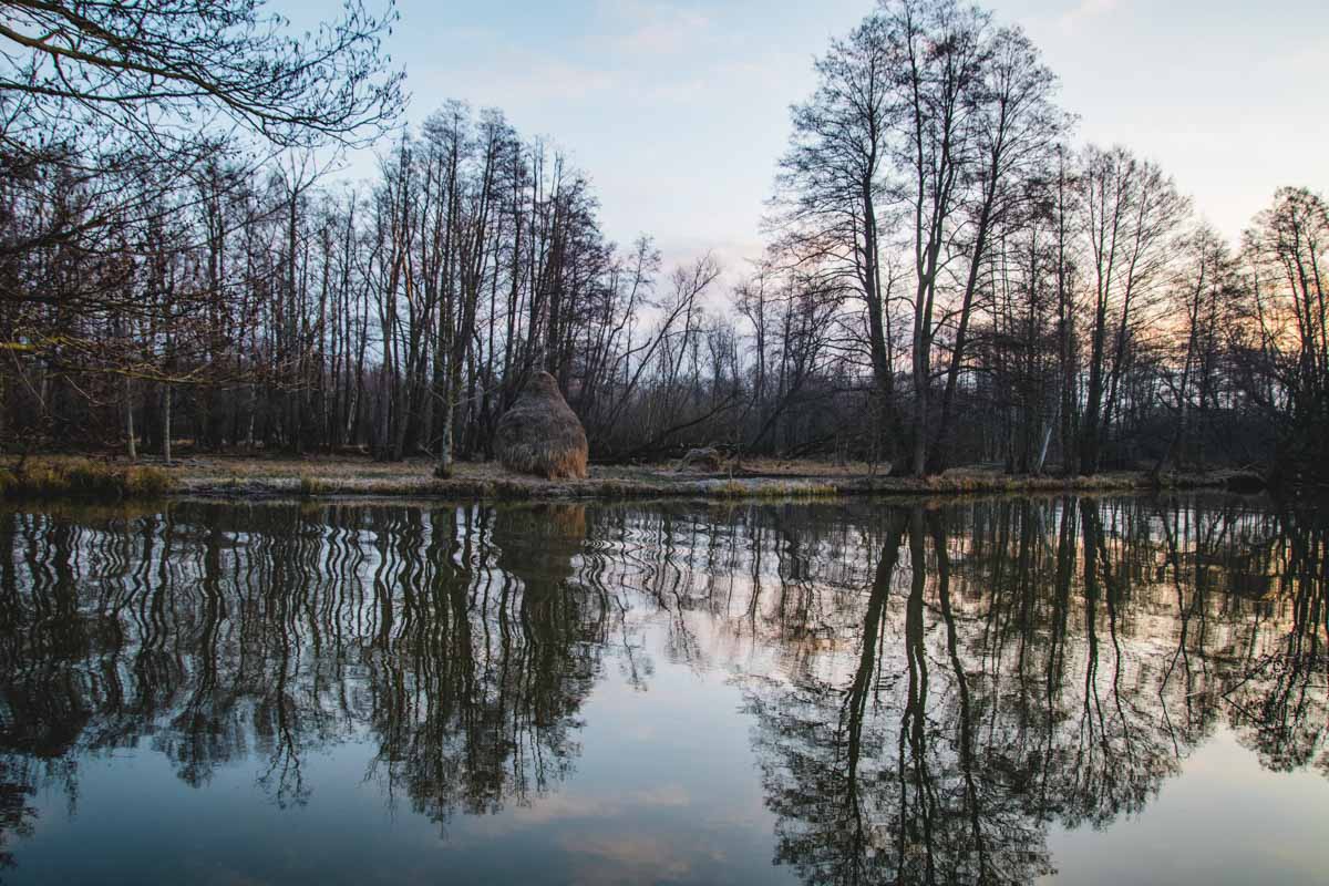 Der Spreewald im Winter: Die schönsten Ausflüge | blickgewinkelt
