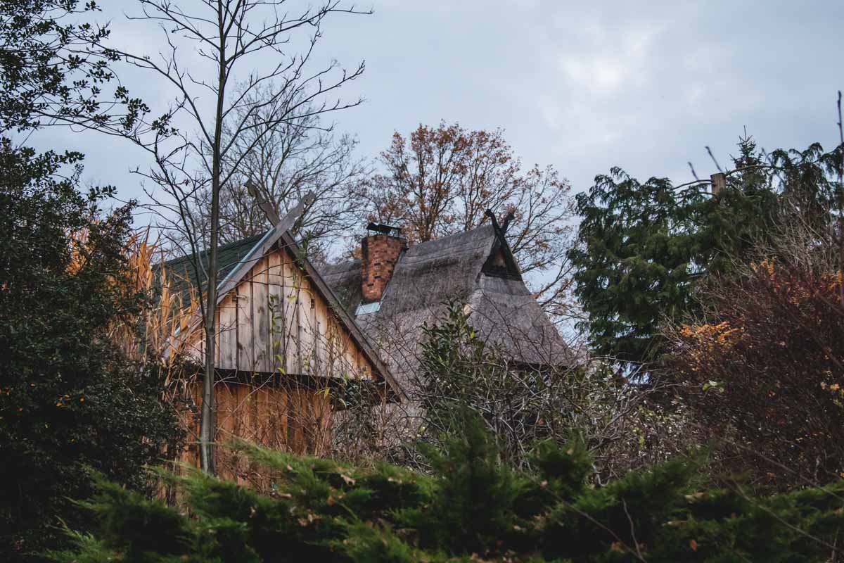 Der Spreewald im Winter: Die schönsten Ausflüge | blickgewinkelt