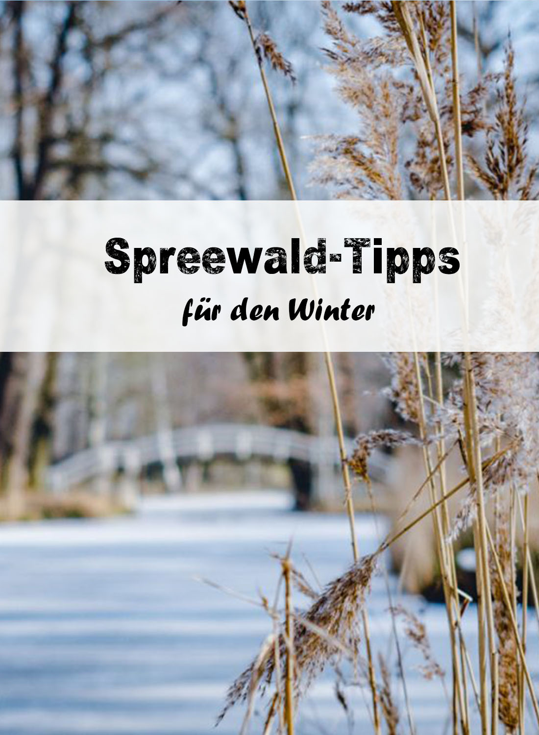 Der Spreewald im Winter: Die schönsten Ausflüge | blickgewinkelt
