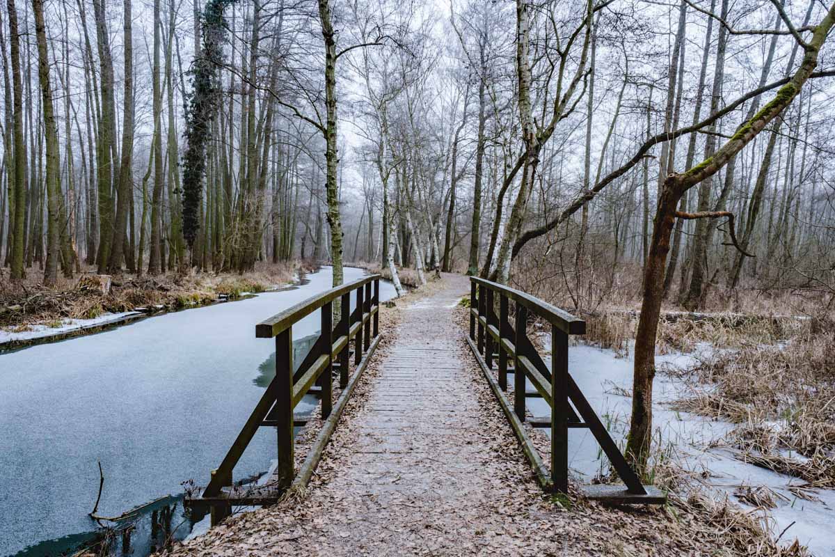 Der Spreewald im Winter: Die schönsten Ausflüge | blickgewinkelt