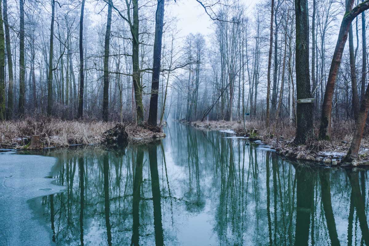 Der Spreewald im Winter: Die schönsten Ausflüge | blickgewinkelt