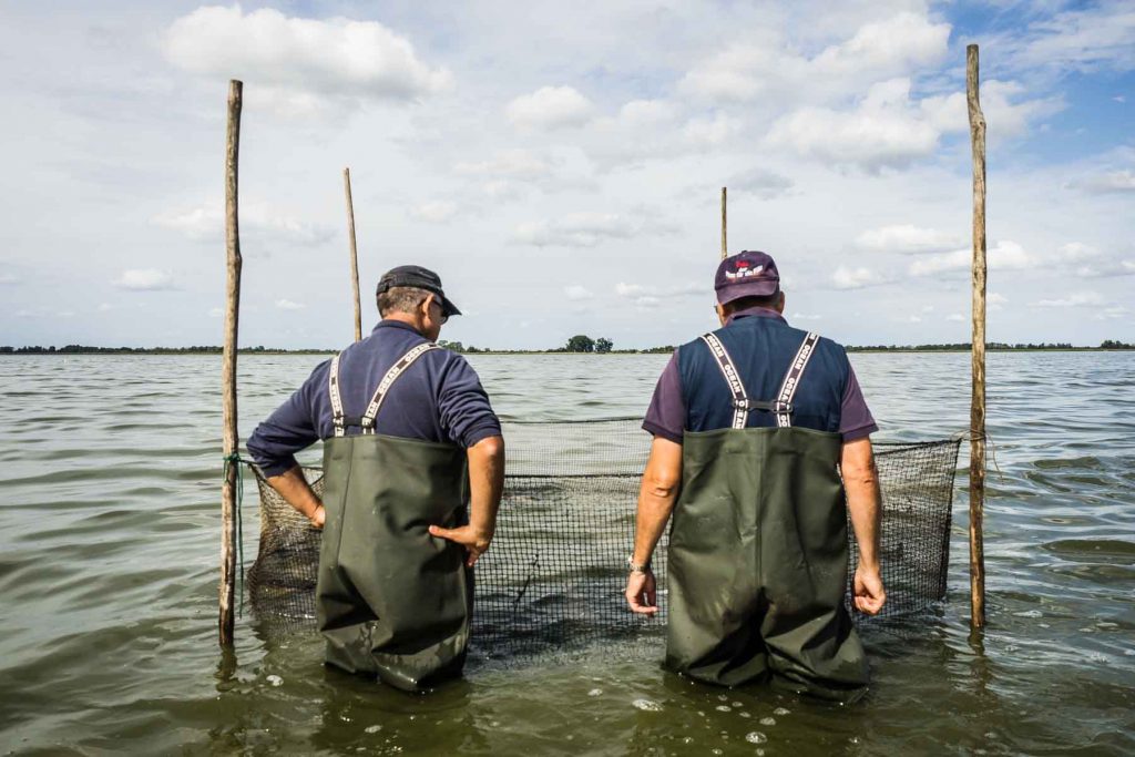 Netzfischen im Elb-Havel-Winkel | blickgewinkelt
