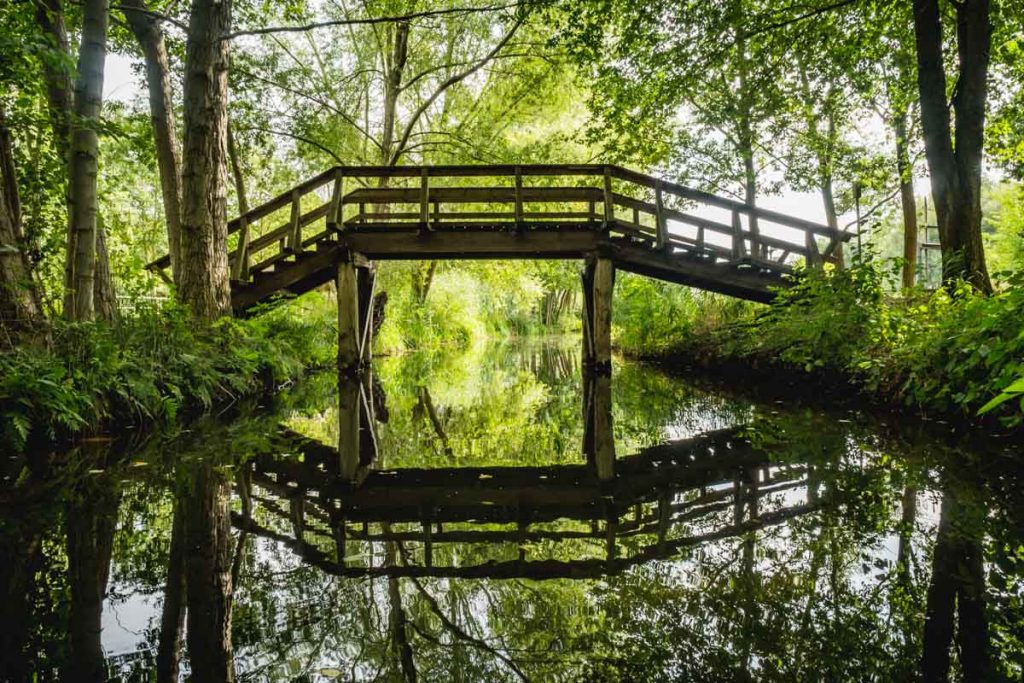 Urlaub im Spreewald: Sehenswürdigkeiten, Ausflugsziele & Lieblings ...